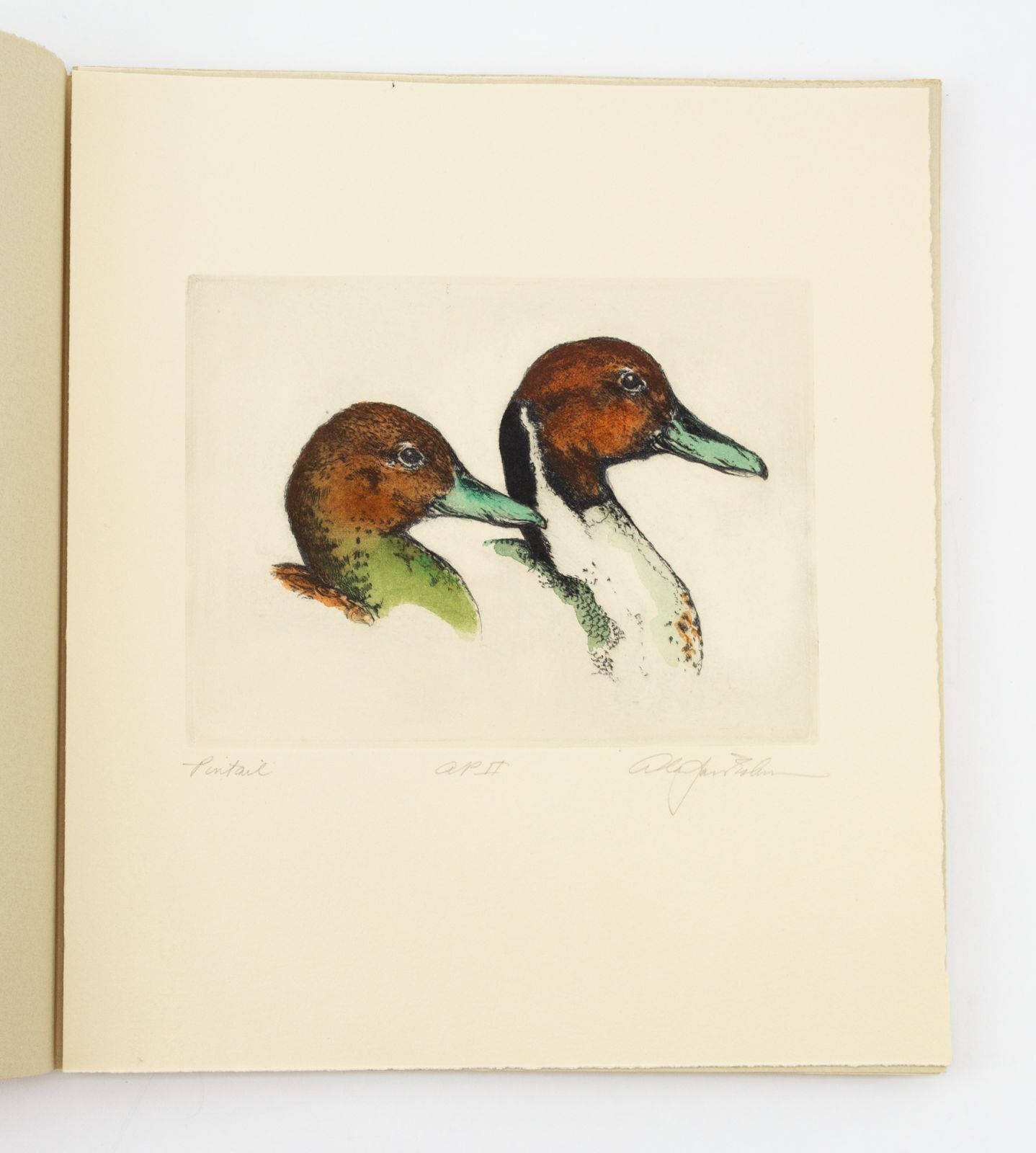THIRTEEN WORKS ILLUSTRATED BY ALAN JAMES ROBINSON, INCLUDING TITLES ...