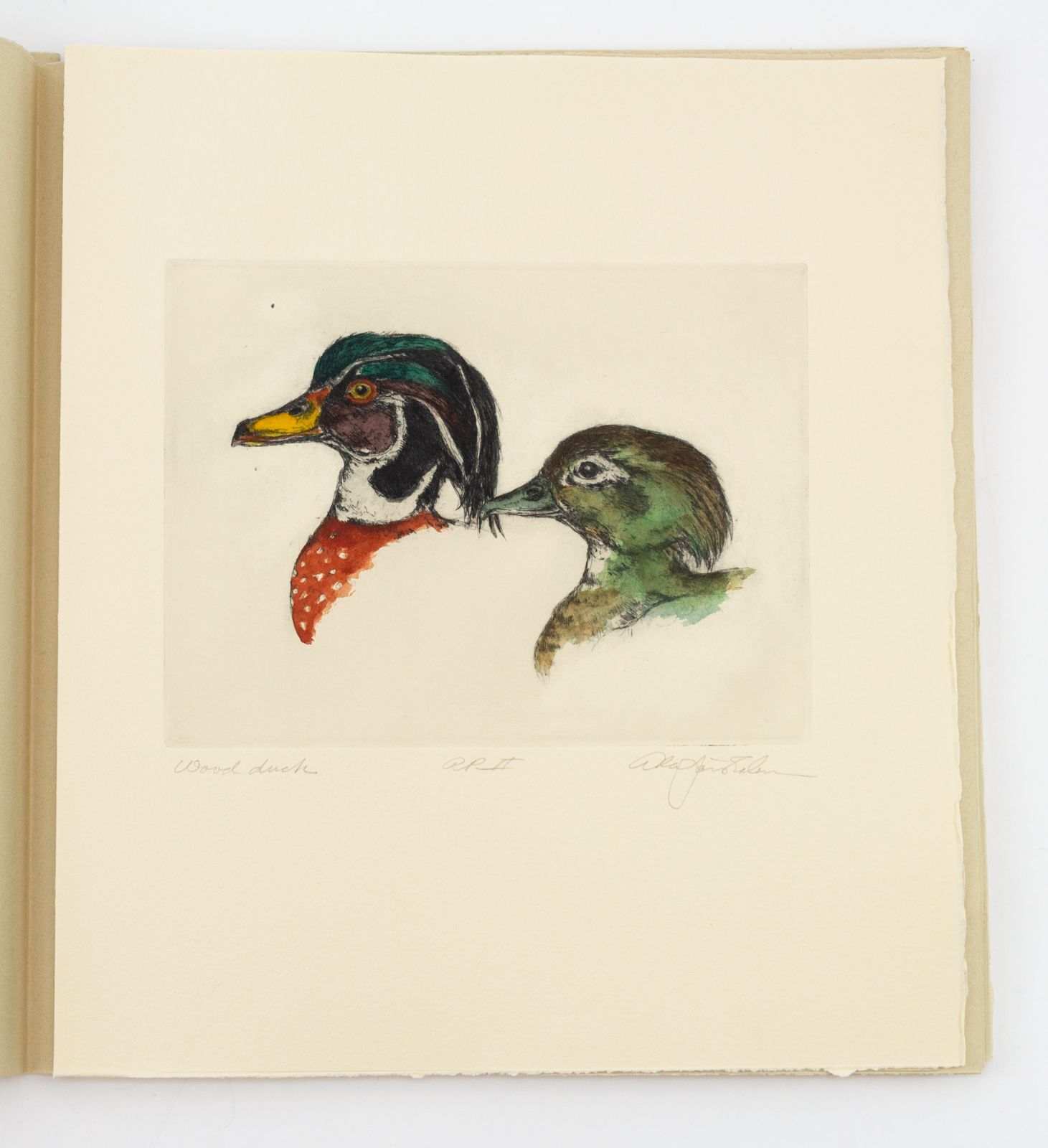 THIRTEEN WORKS ILLUSTRATED BY ALAN JAMES ROBINSON, INCLUDING TITLES ...