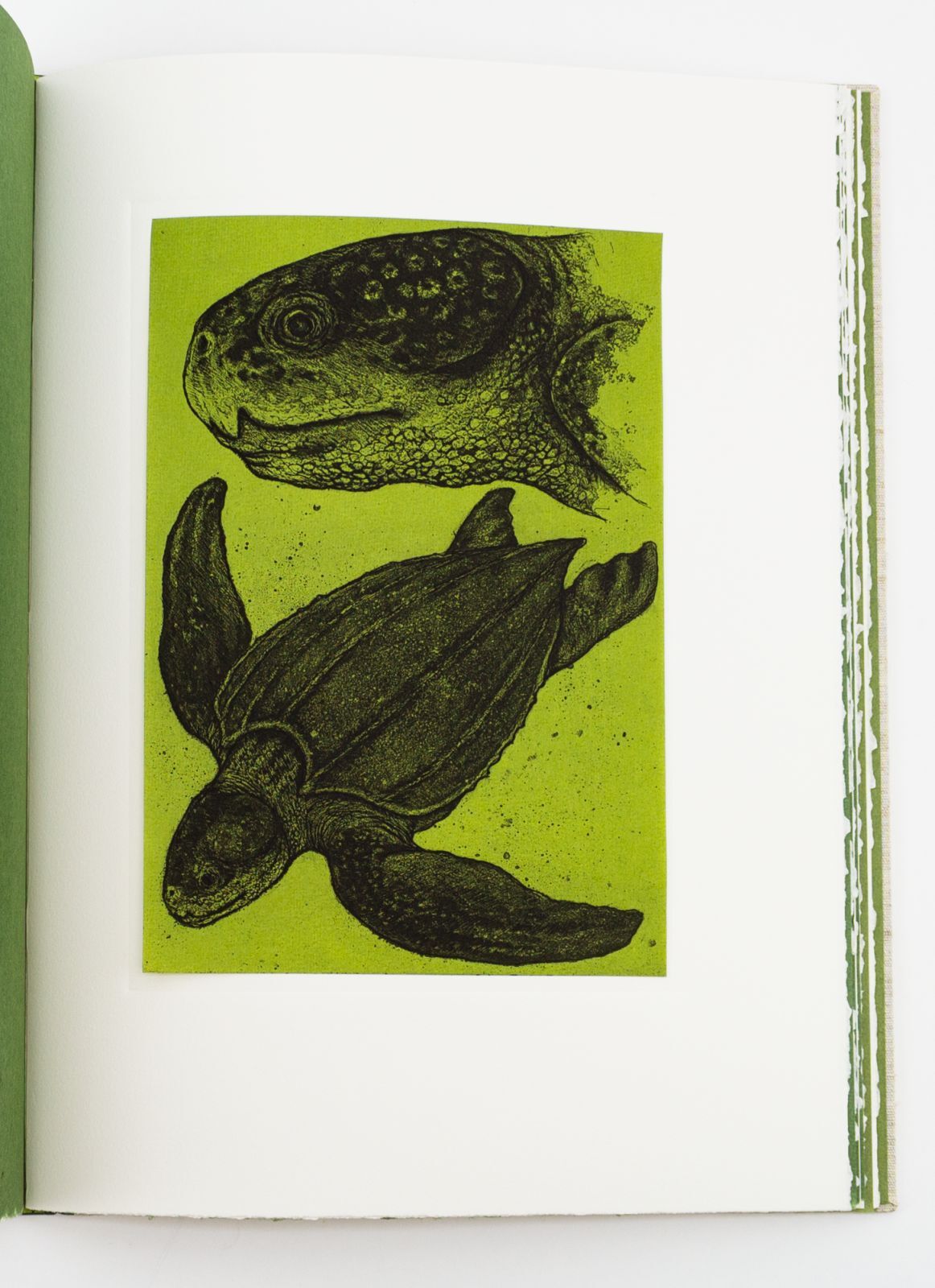 THIRTEEN WORKS ILLUSTRATED BY ALAN JAMES ROBINSON, INCLUDING TITLES ...